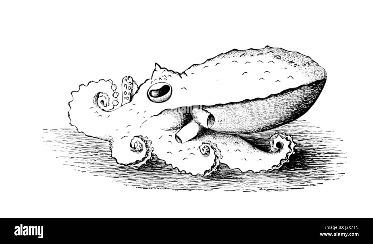 Arctic biology research Cut Out Stock Images & Pictures - Alamy