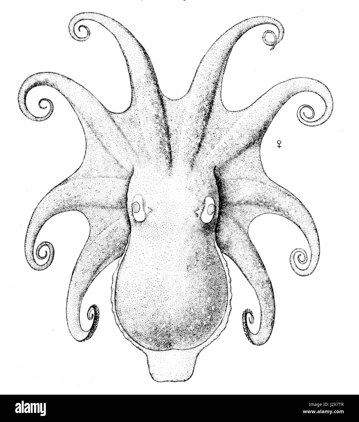 Arctic biology research Cut Out Stock Images & Pictures - Alamy