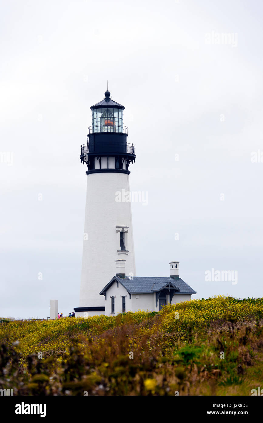 High round Lighthouse illuminates the correct way for ships sailing in ...
