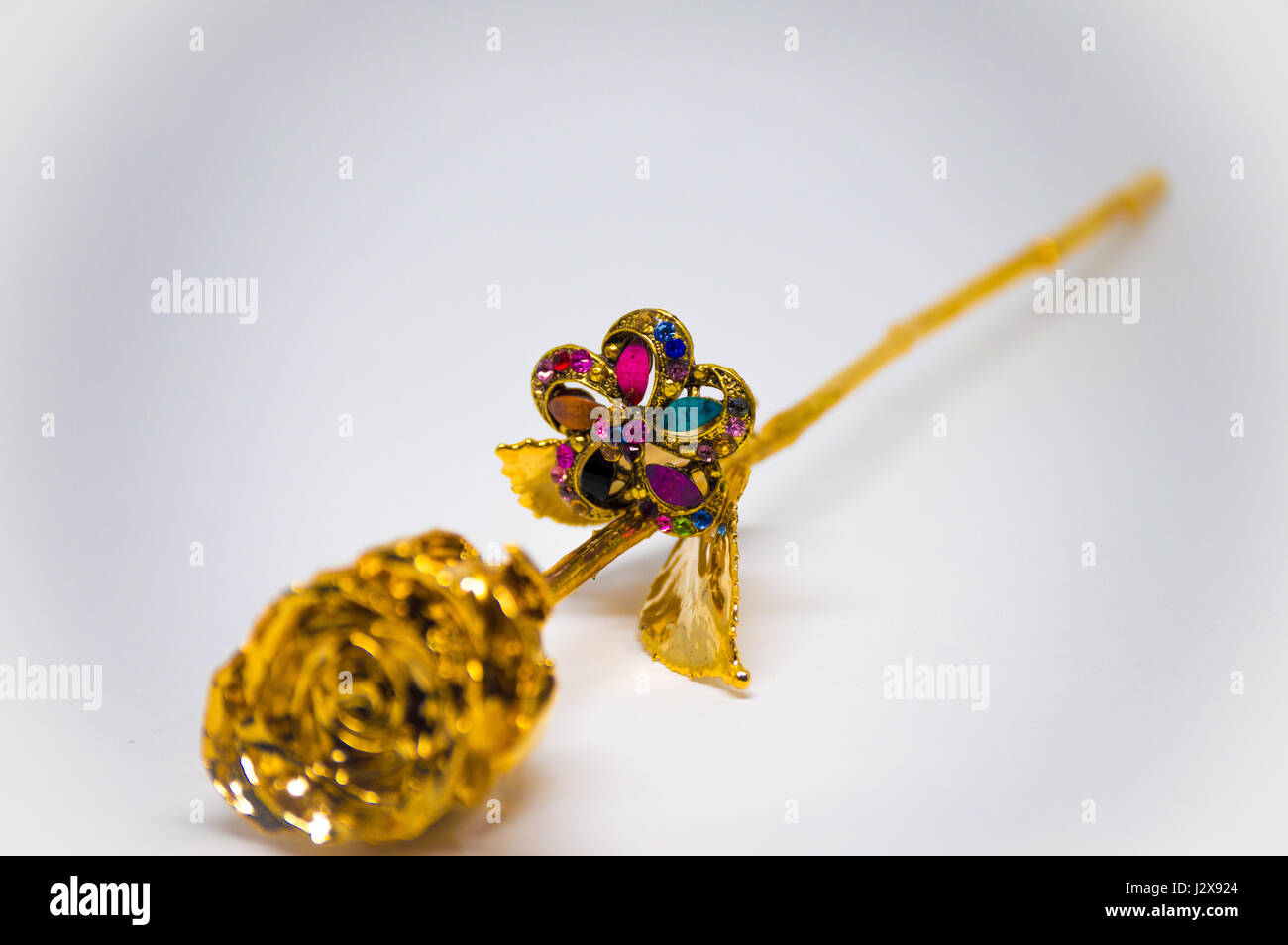 Golden rose hi-res stock photography and images - Alamy