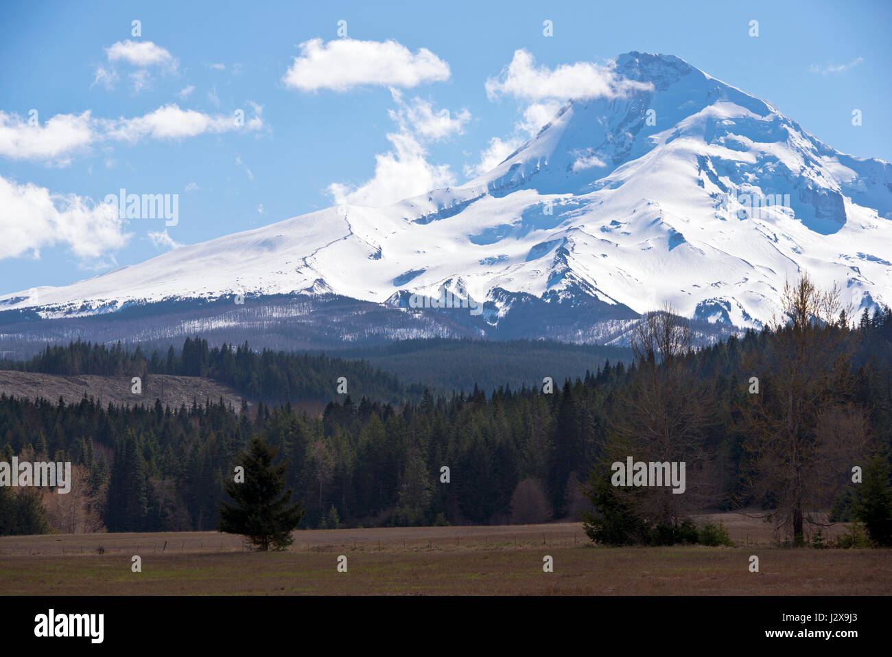 Portland Skyline Mount Hood High Resolution Stock Photography and ...