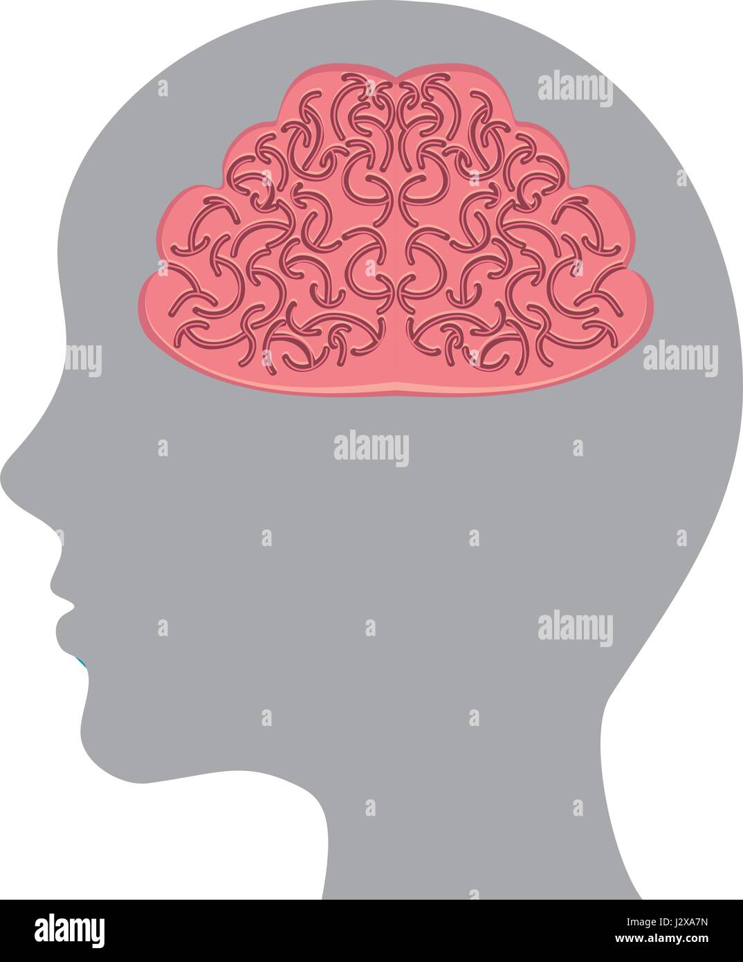 Lau Stock Vector Images - Alamy