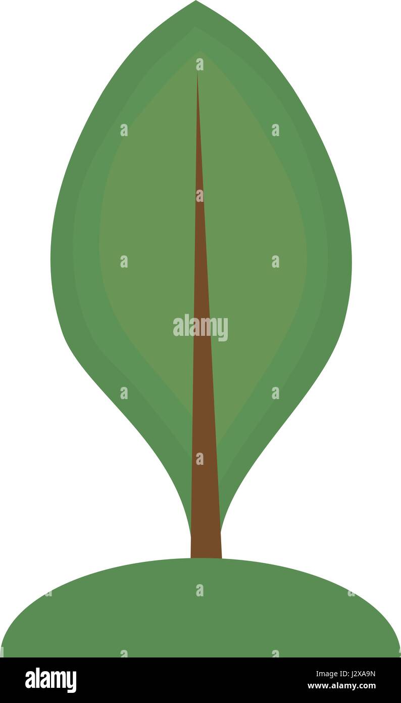 tree icon image Stock Vector Image & Art - Alamy