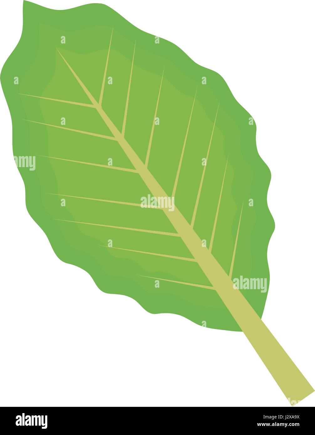 leaf icon image Stock Vector Image & Art - Alamy