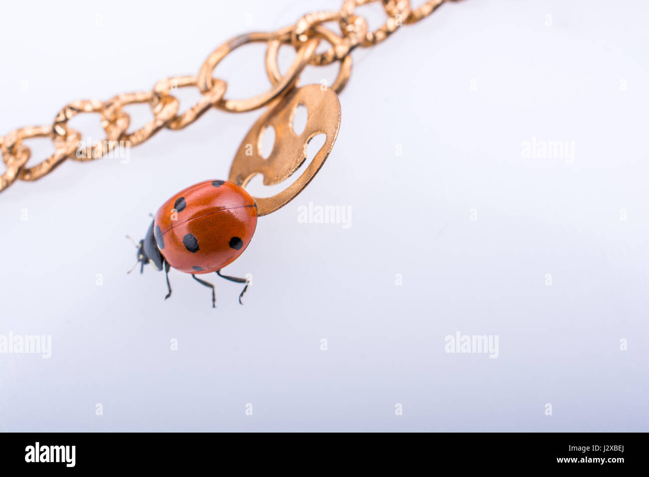 Beautiful photo of red ladybug walking on a chain Stock Photo - Alamy