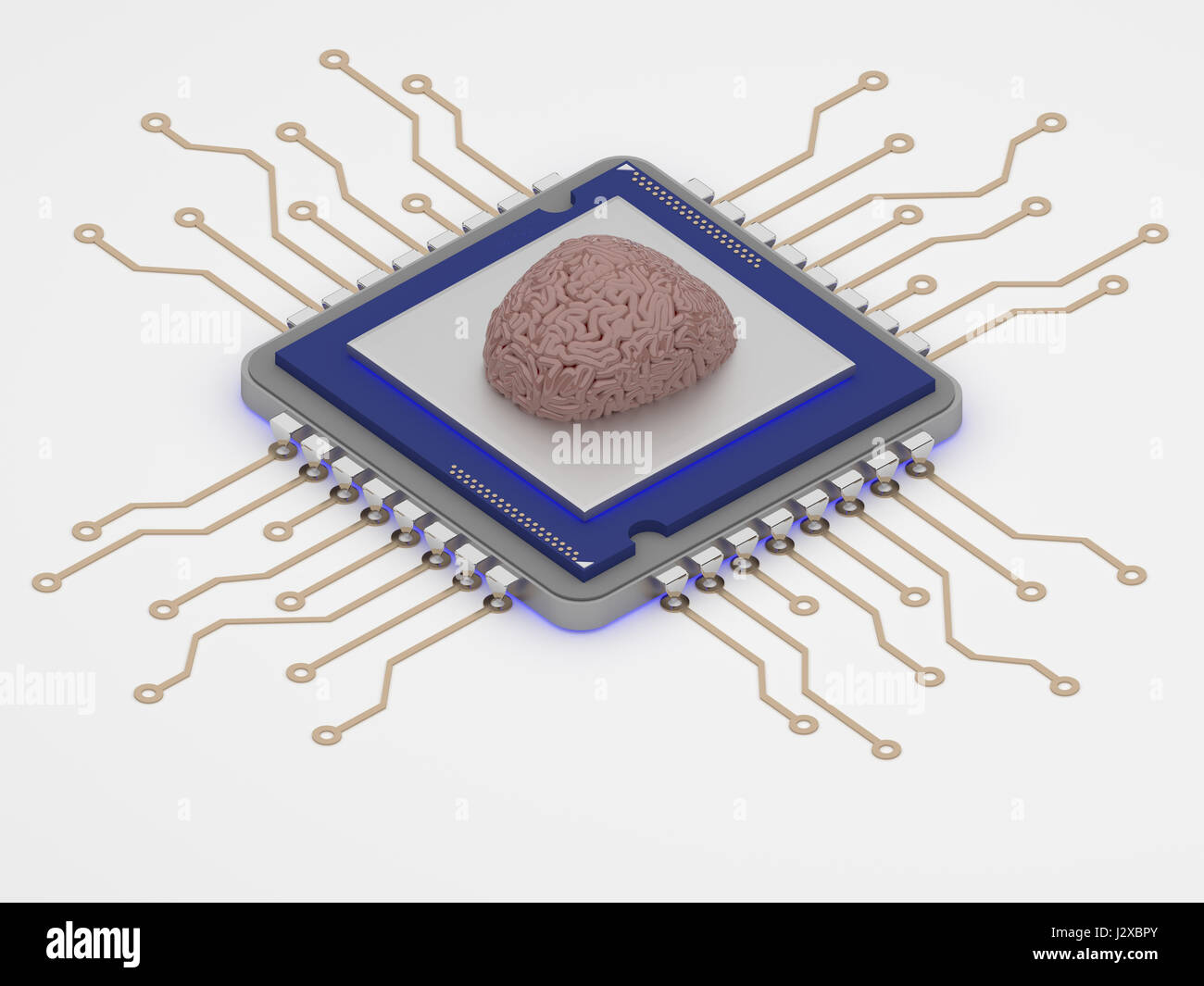 Real human brain anatomy hi-res stock photography and images - Alamy