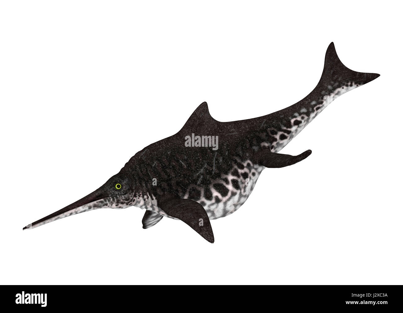 Shonisaurus hi-res stock photography and images - Alamy