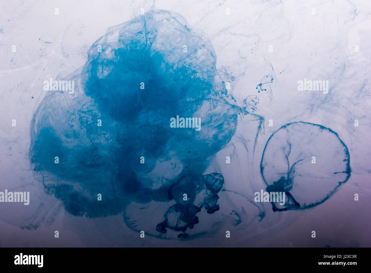 Watercolor paint dissolving in pure water Stock Photo - Alamy