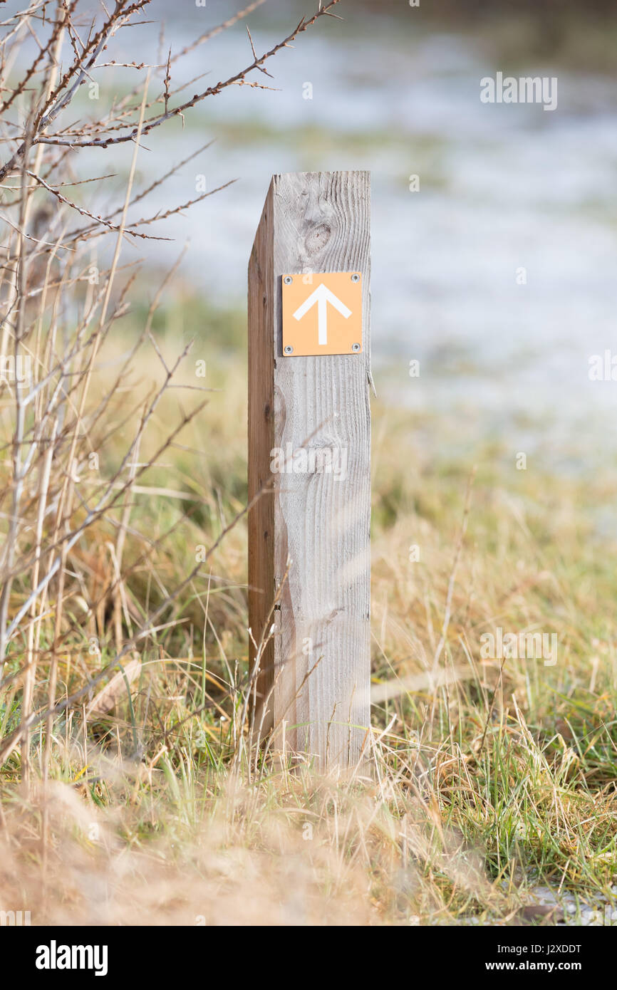 Route through dutch nature hi-res stock photography and images - Alamy