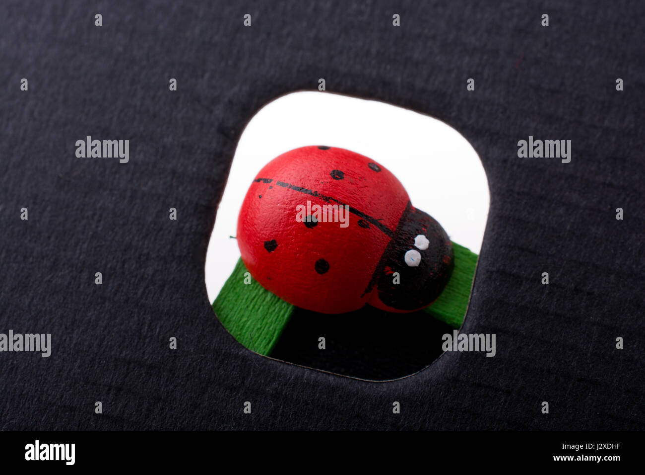 Fake red ladybug made of wooden material Stock Photo - Alamy