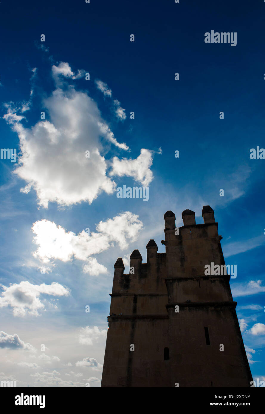 Torre De Los Leones Hi Res Stock Photography And Images Alamy