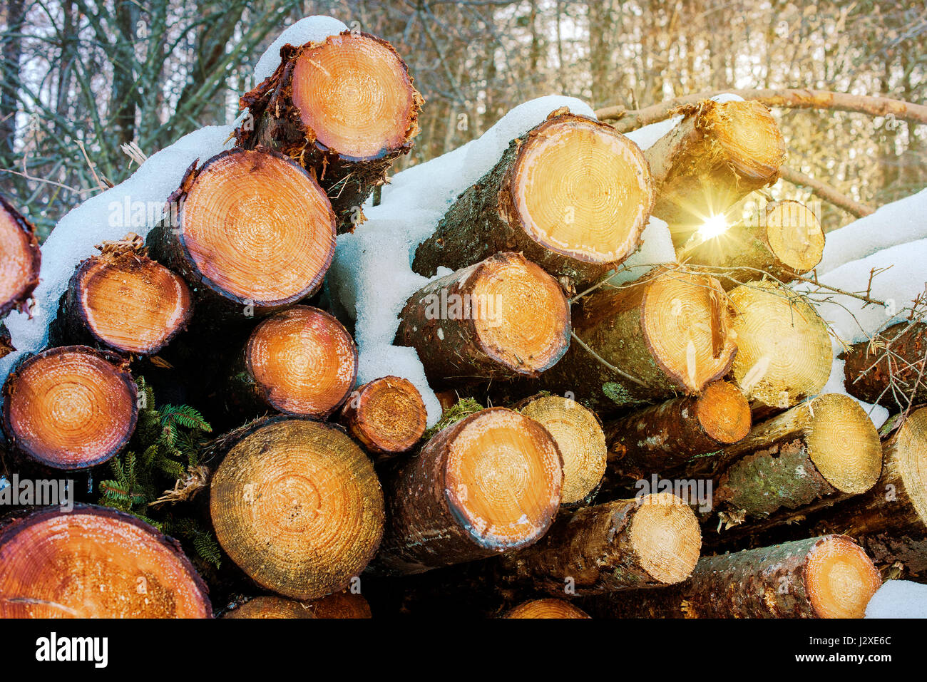 Firewood stack under snow in the backyard Stock Photo - Alamy