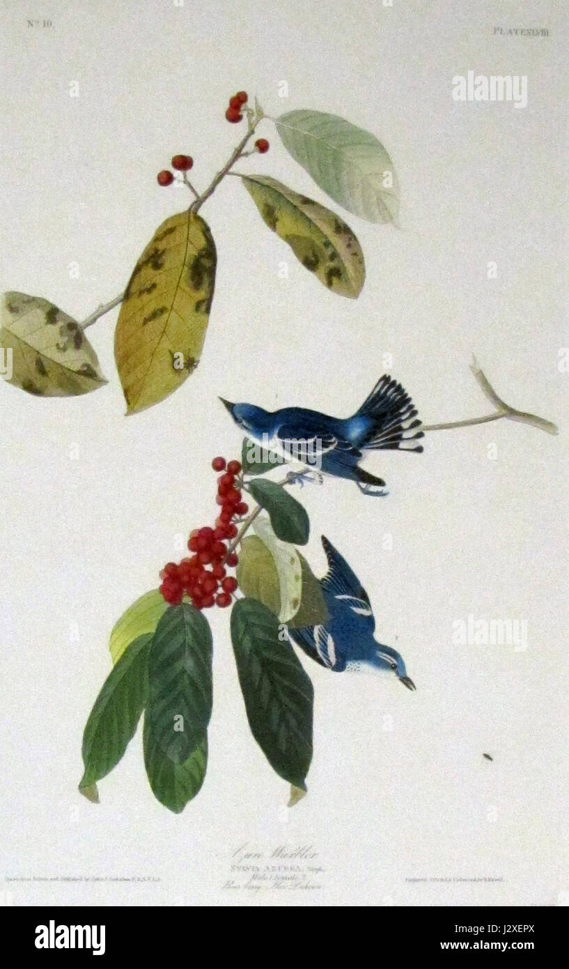 Map of audubon hi-res stock photography and images - Alamy