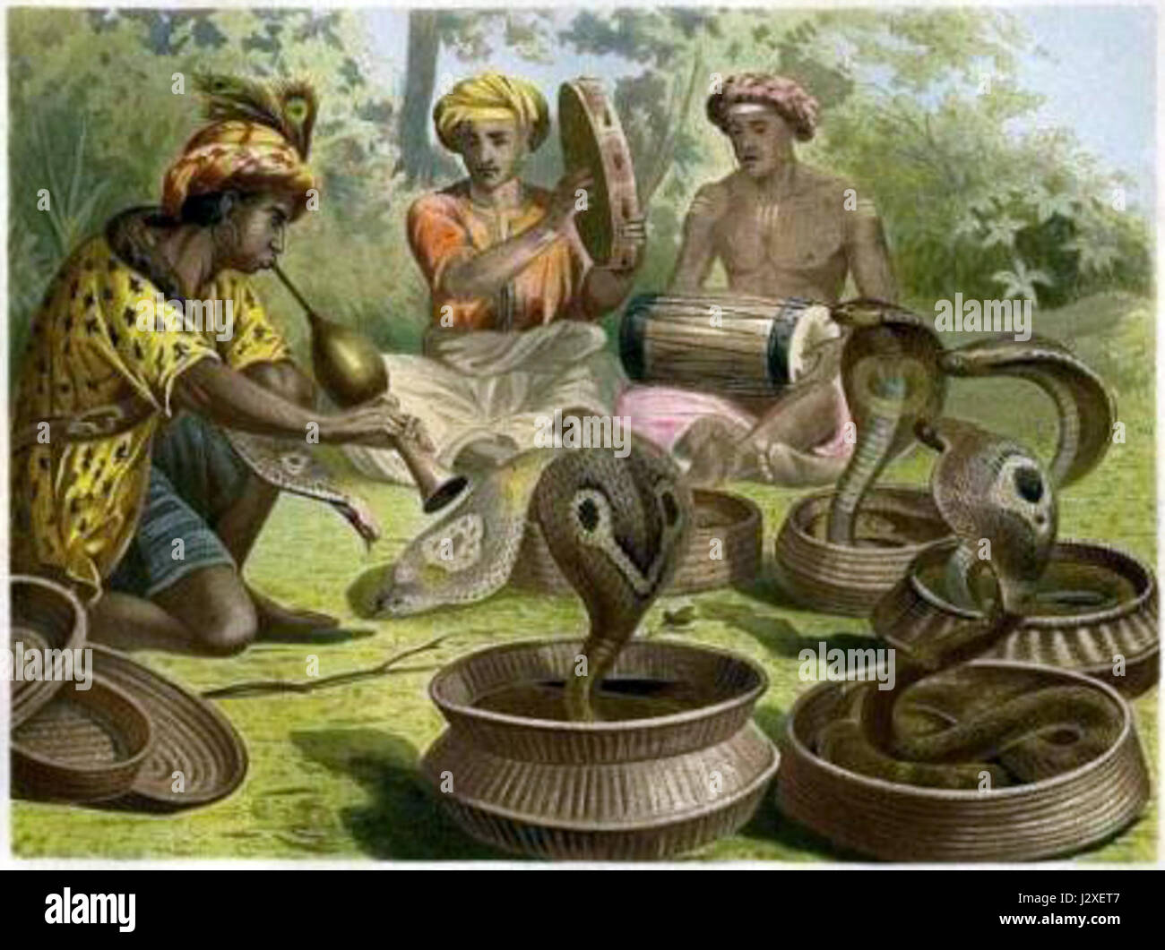 Brehm 1883 refers to the work of Alfred Brehm, a renowned German ...