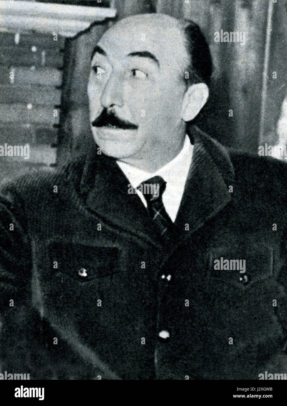 Polacco polacco hi-res stock photography and images - Alamy