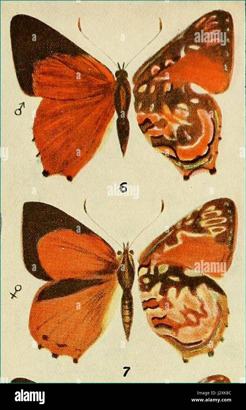 *Apollo Phoebus* by John William Waterhouse depicts the Greek god ...