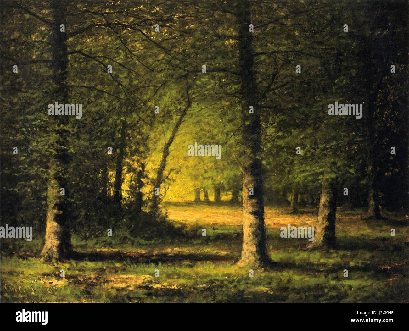 Carl Christian Brenner - Beech Trees Stock Photo - Alamy