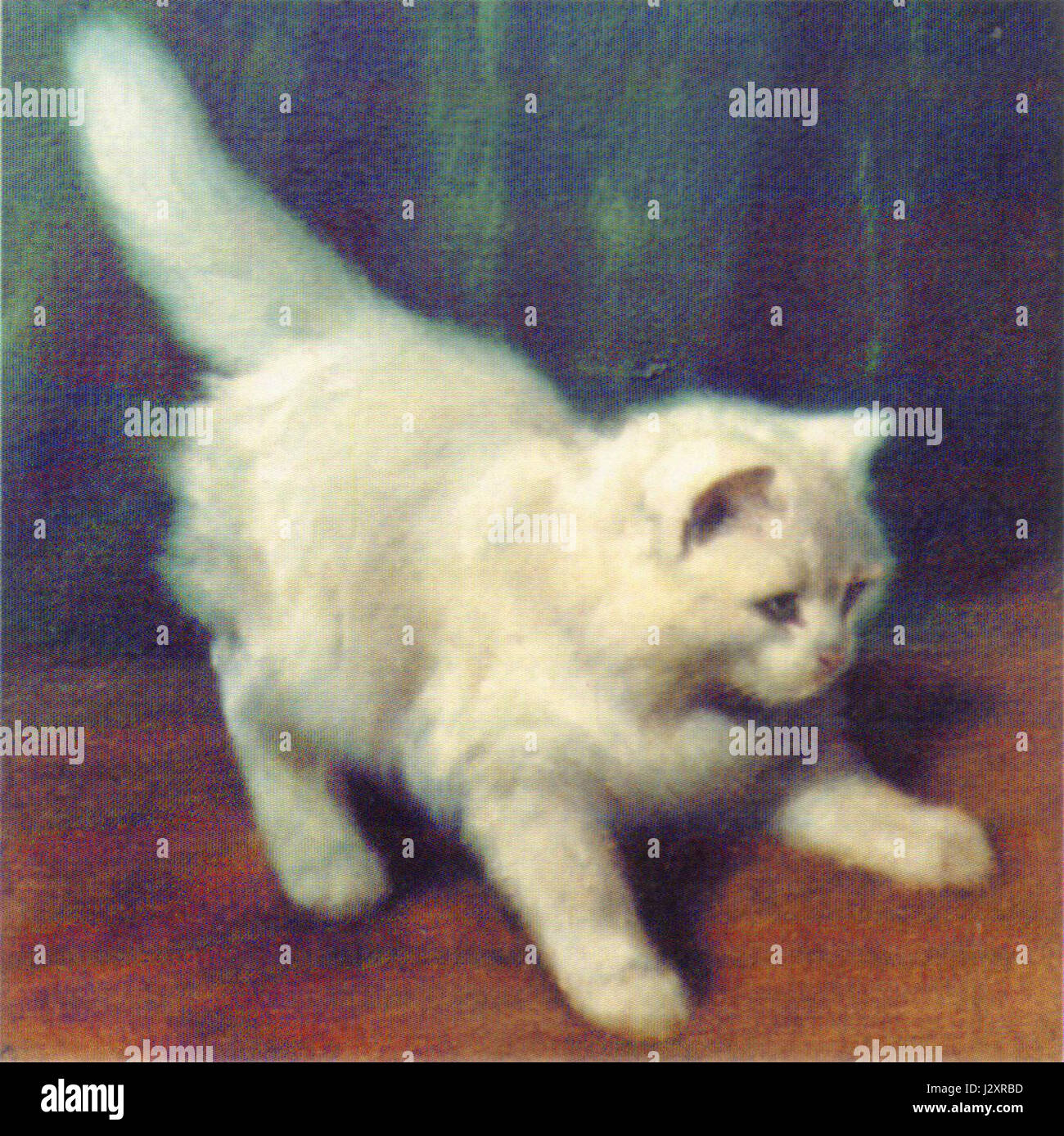 Arthur Heyerâ€™s painting 'Junge Angorakatze' (Young Angora Cat ...