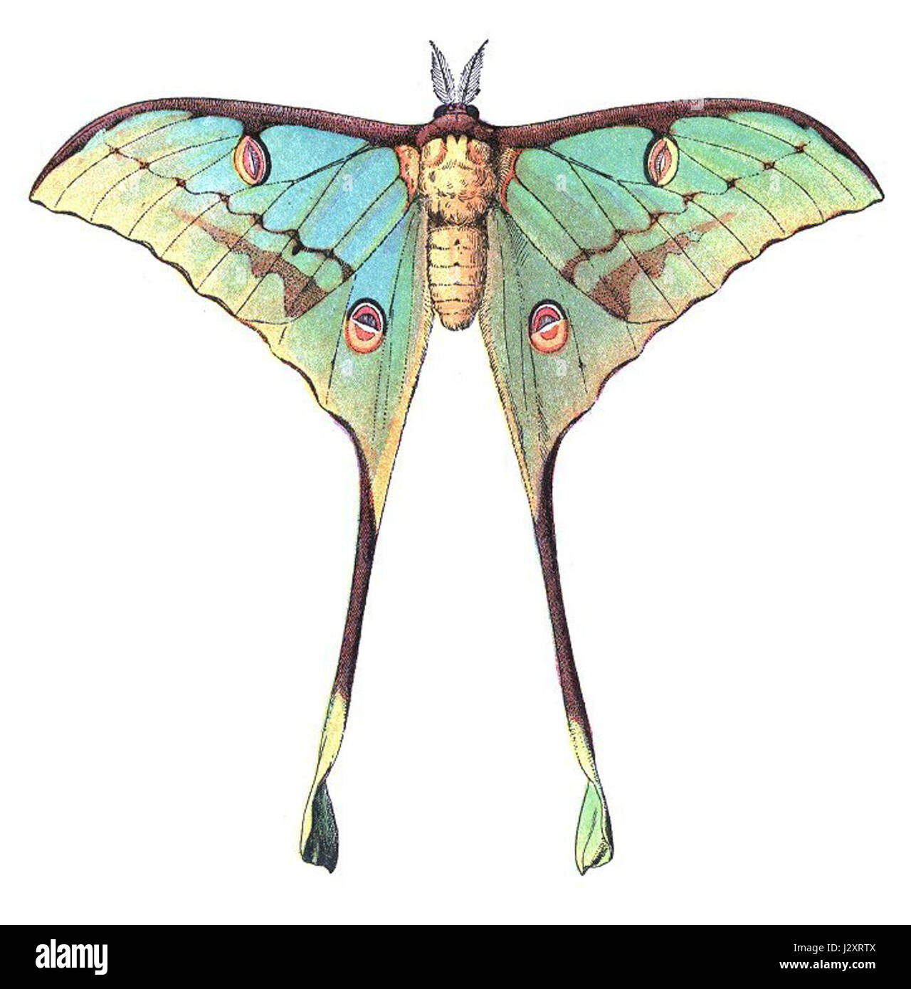 Name caption Cut Out Stock Images & Pictures - Alamy