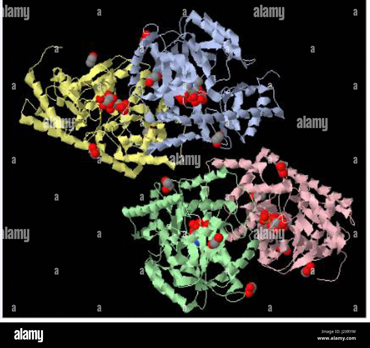 Aspartat aminotransferasa 3 Stock Photo - Alamy