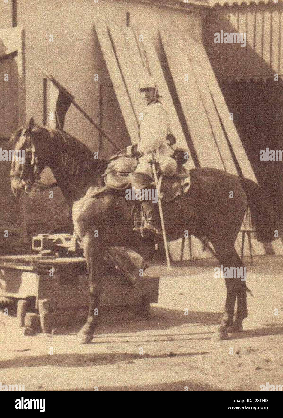 Pferd illustration hi-res stock photography and images - Alamy