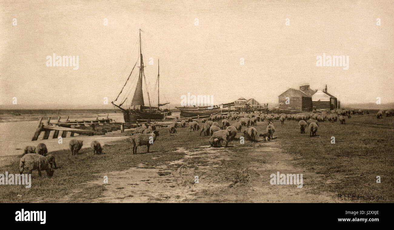 Blythe river hi-res stock photography and images - Alamy