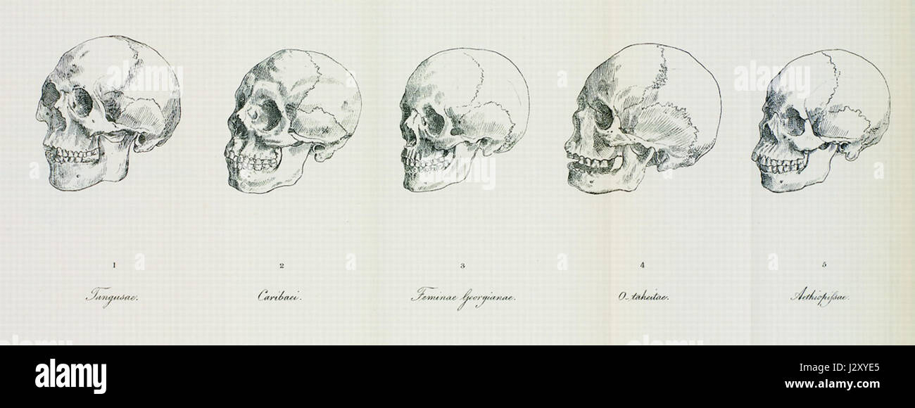 Blumenbach's five races Stock Photo - Alamy