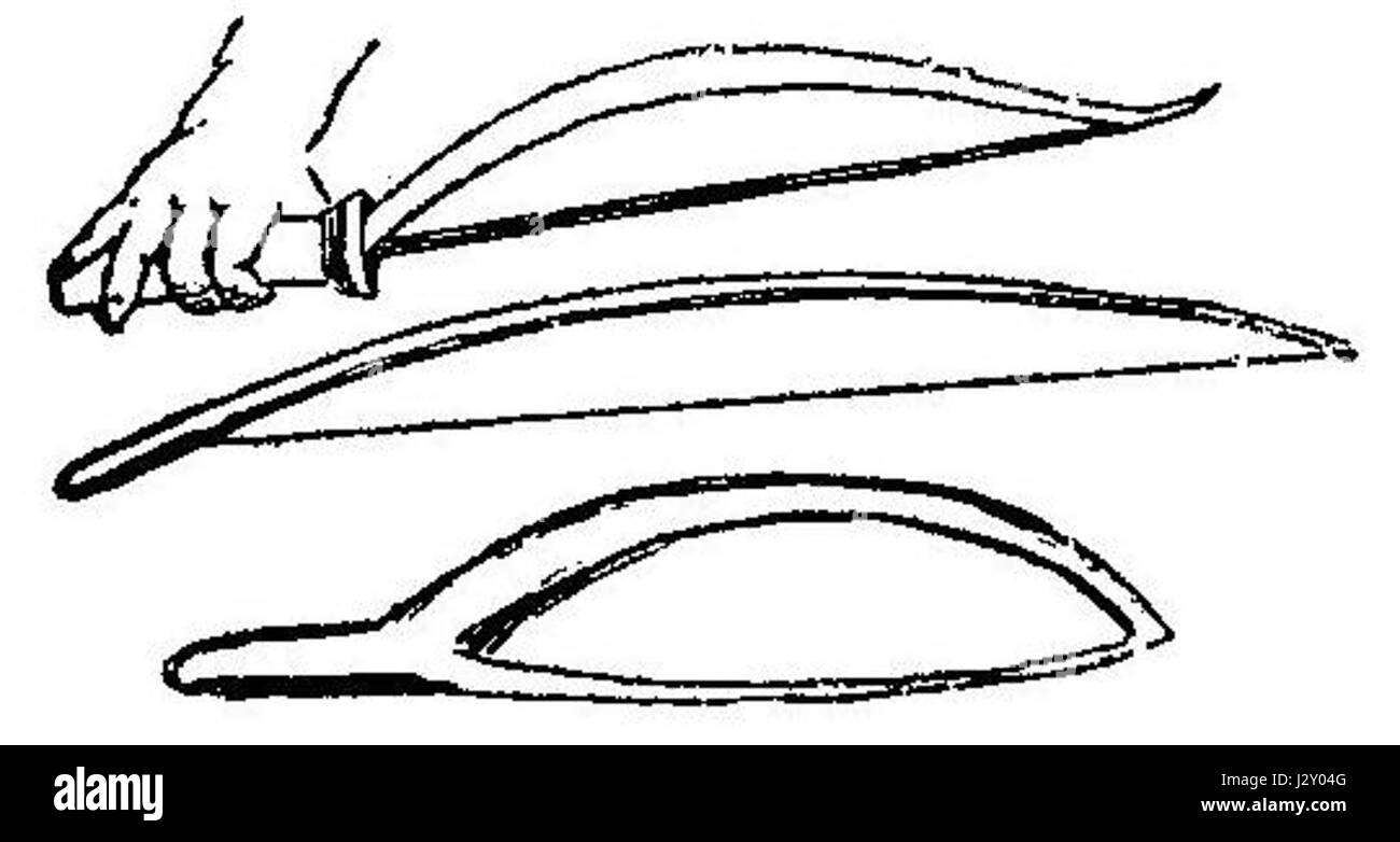 Bow drawings from the 15th century illustrate the evolution of archery ...