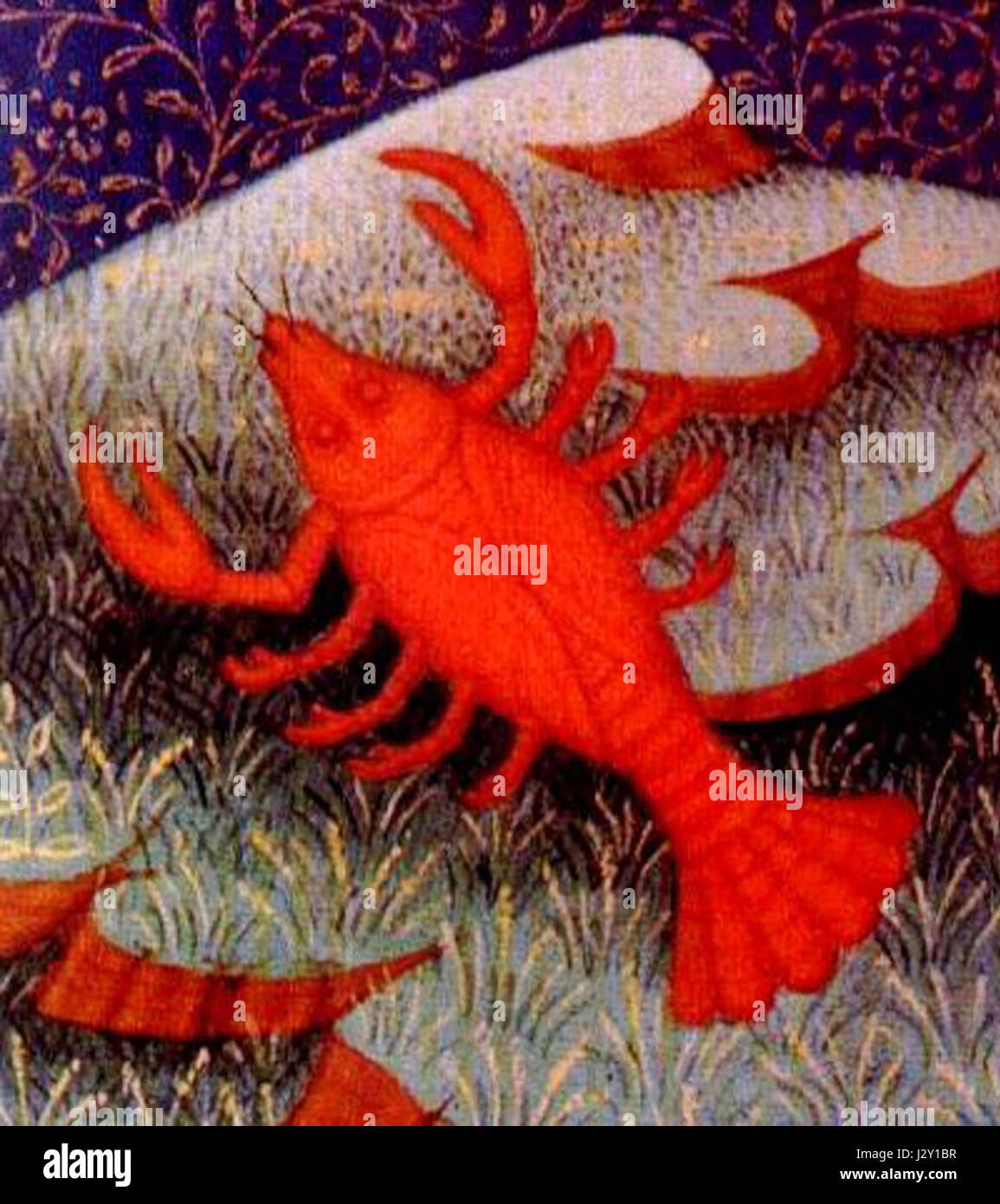 Cancer is a broad term for diseases involving abnormal cell growth with ...