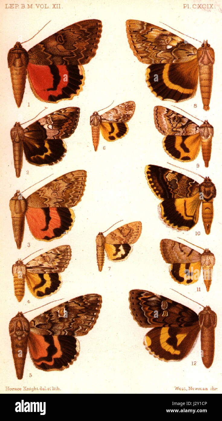 Cxcix hi-res stock photography and images - Alamy