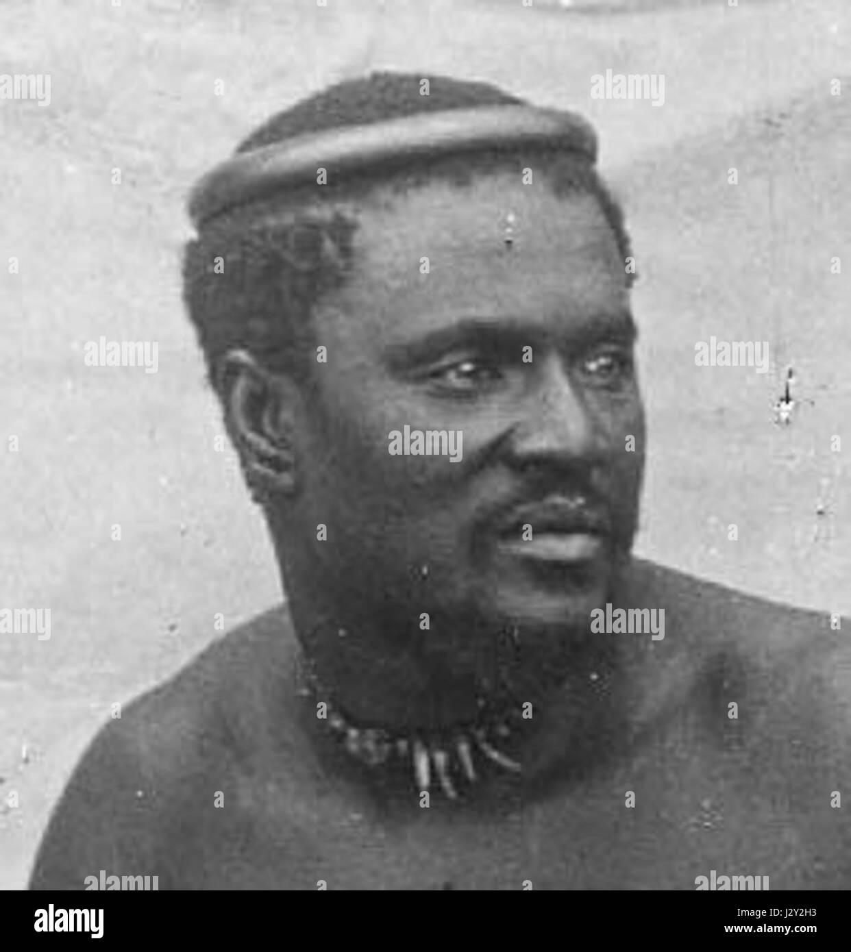 King cetshwayo hi-res stock photography and images - Alamy