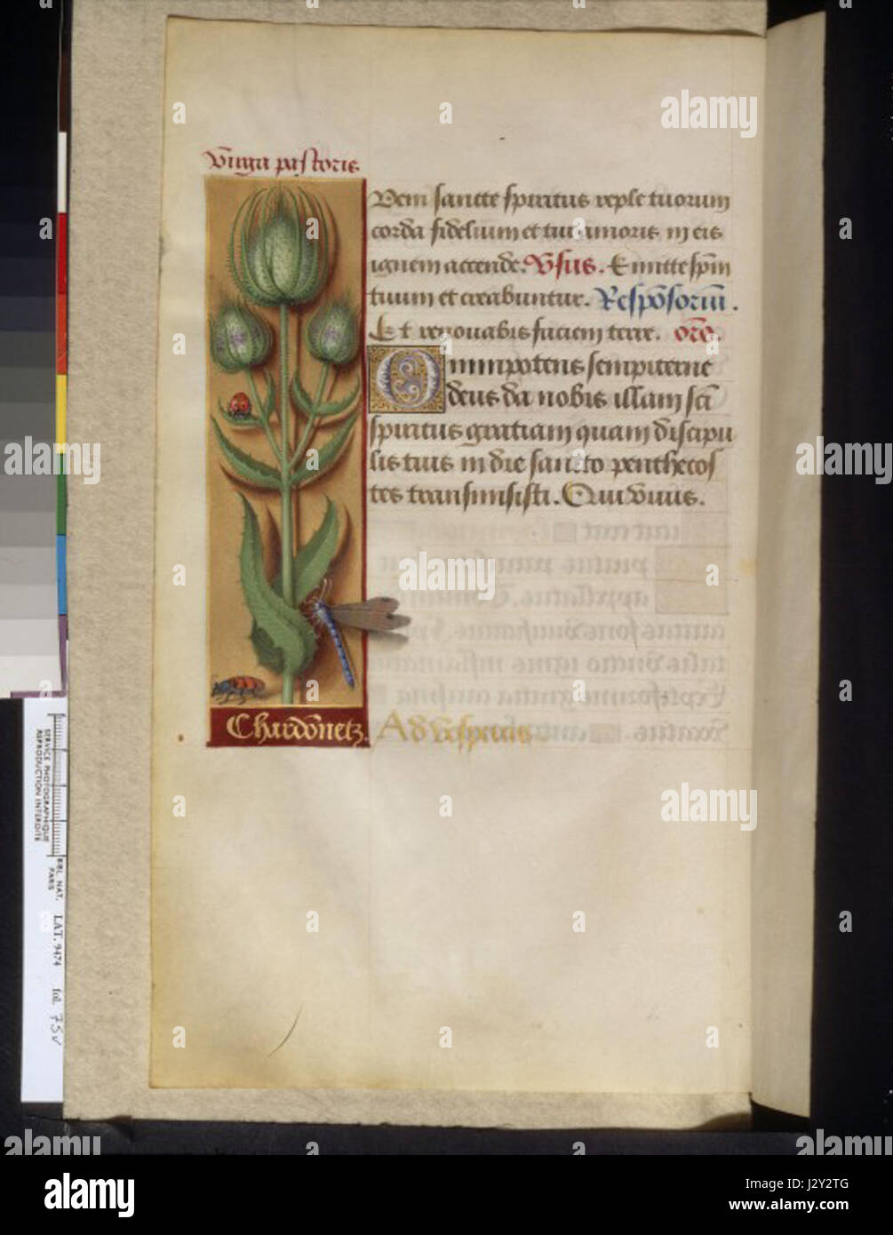 Chardonnet refers to the French inventor and industrialist who ...