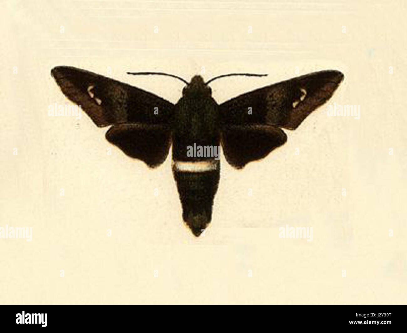 Tantalus painting hi-res stock photography and images - Alamy