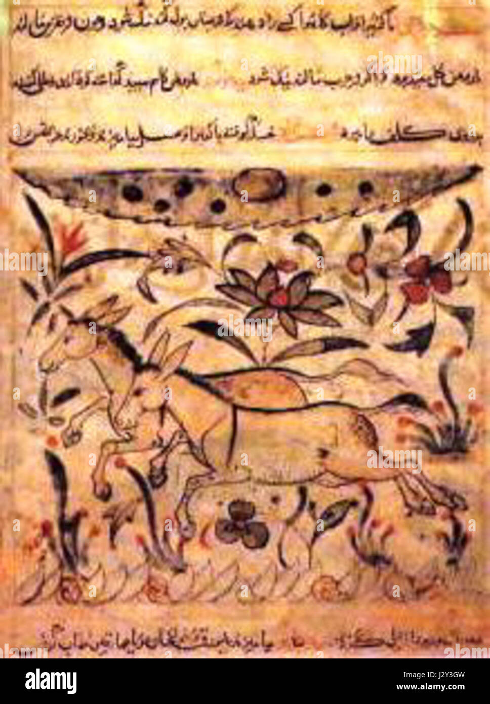 Al-Jahiz - pages from Kitaab al Hayawaan 3 Stock Photo - Alamy