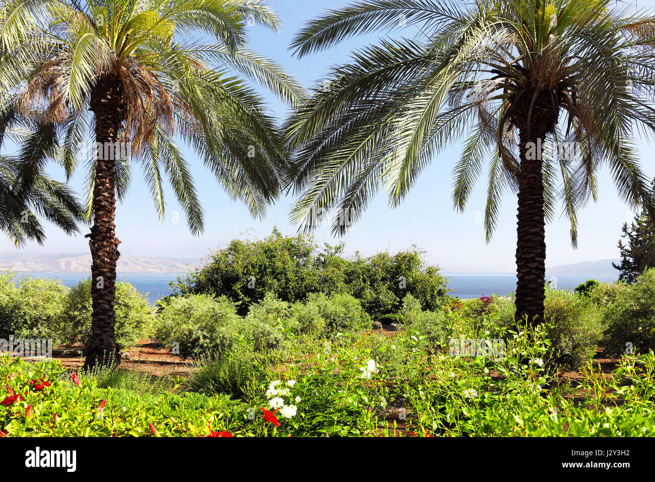 Sea of galilee landscape,Israel Stock Photo - Alamy
