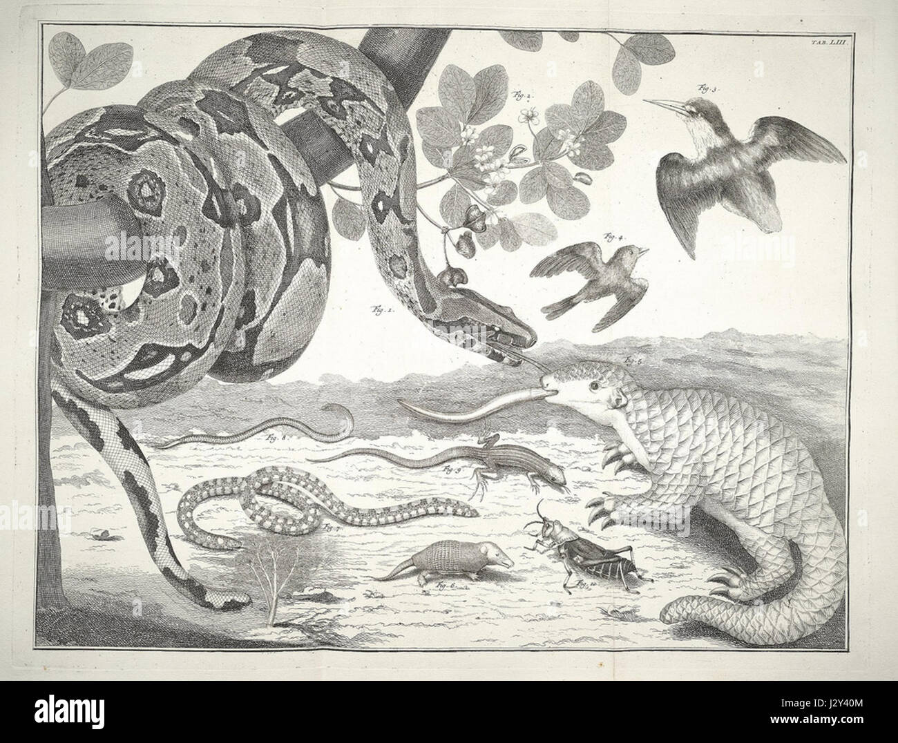 Detailed illustration from famous hi-res stock photography and images ...