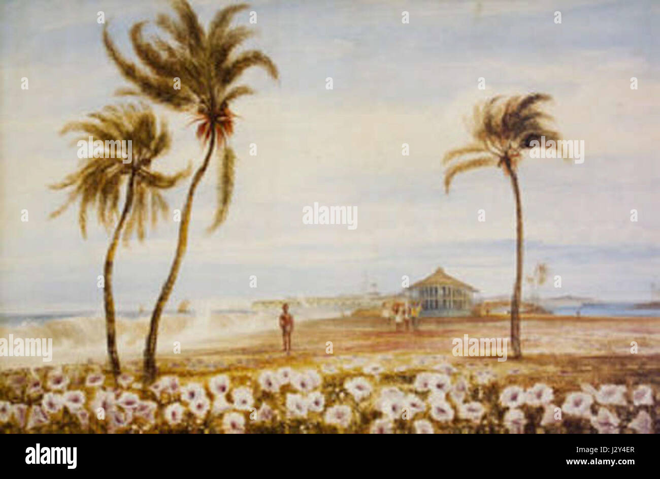 This work by Andrew Nichol explores the history and culture of Ceylon ...