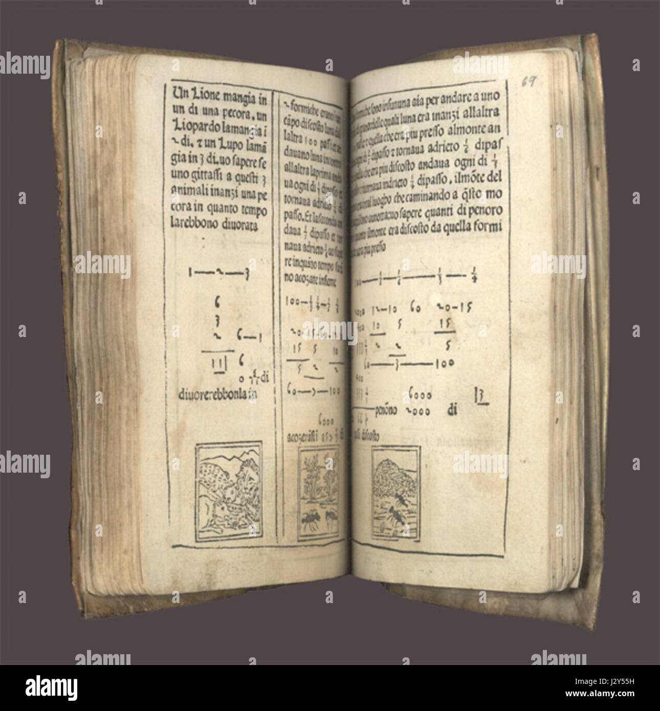 Calandri filippo hi-res stock photography and images - Alamy