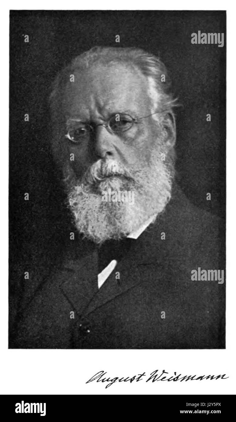 August Weismann was a German evolutionary biologist who is known for ...