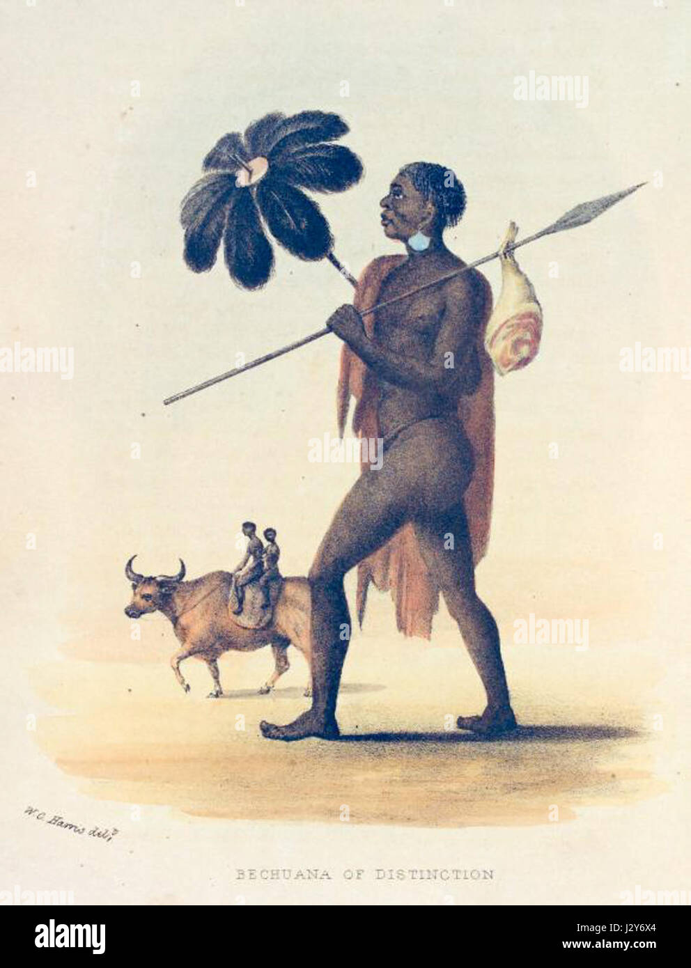 The 'Bechuana of Distinction' refers to a historical document or image ...