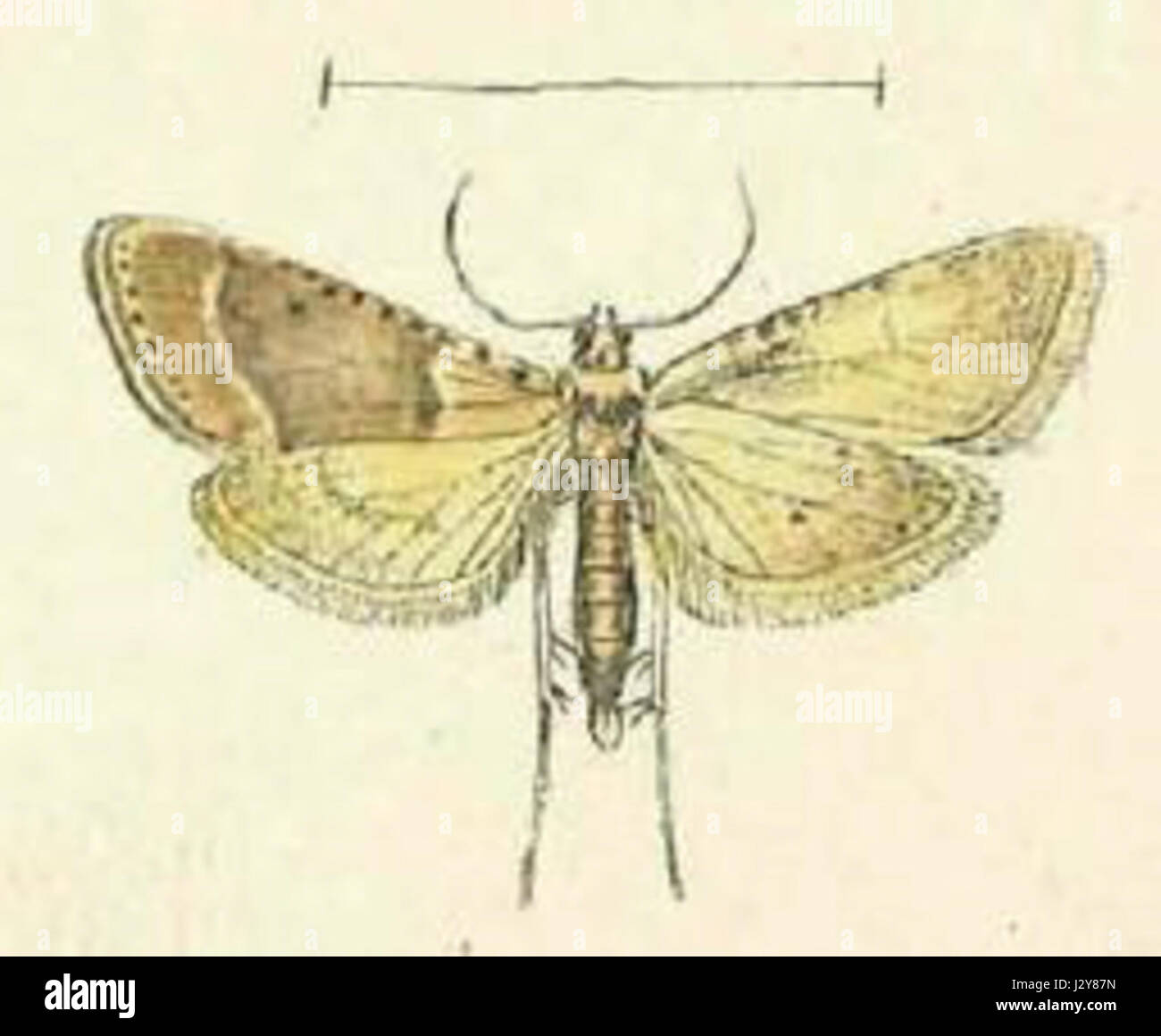 Bostra hi-res stock photography and images - Alamy