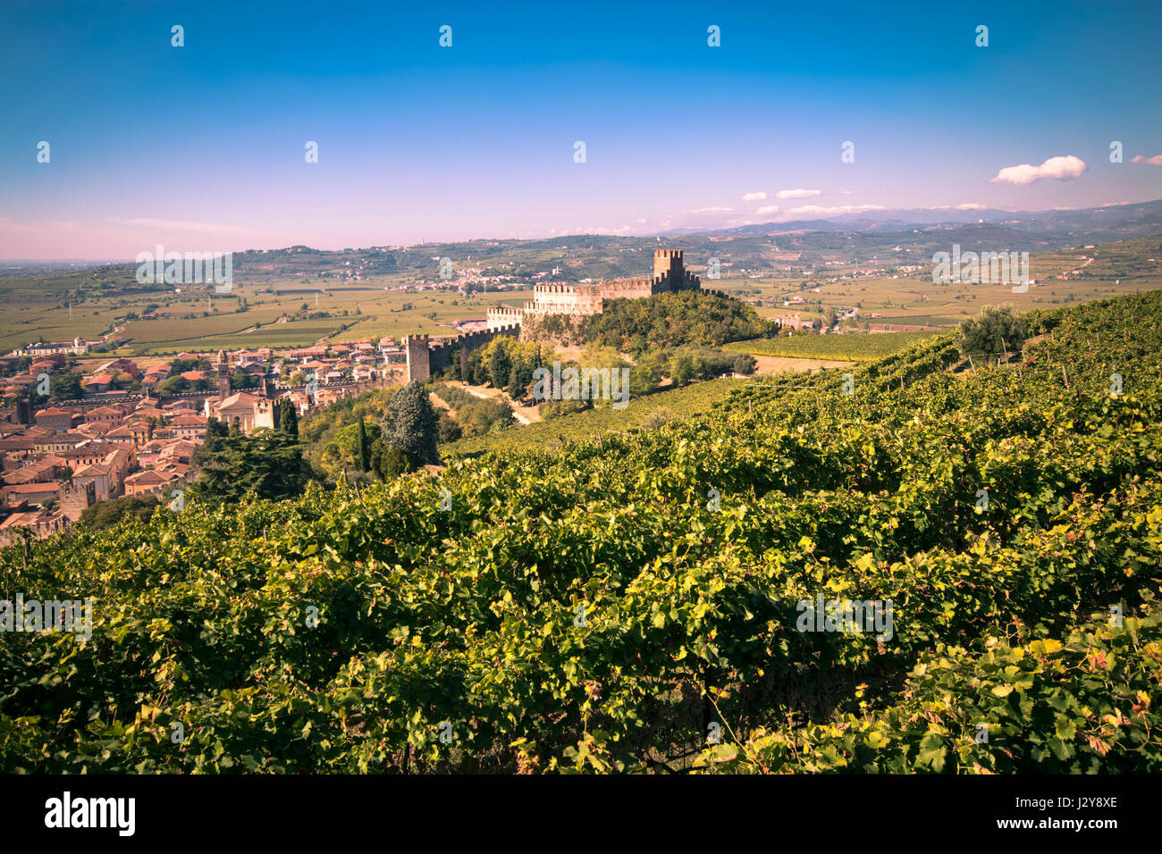 view of Soave (Italy) surrounded by vineyards that produce one of the ...