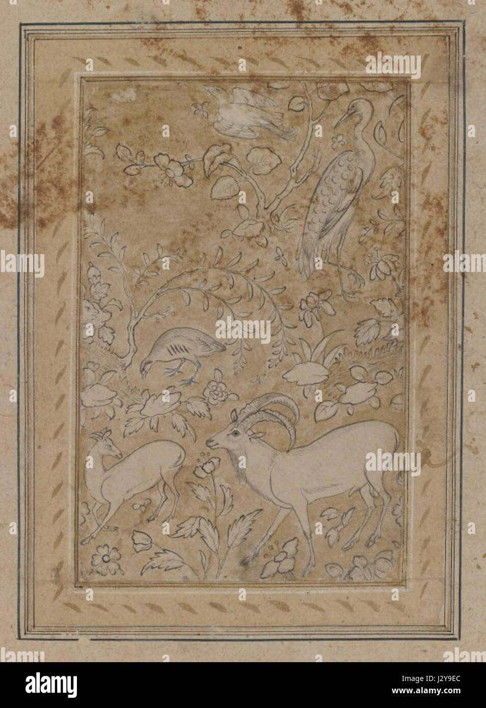 Brooklyn Museum - Drawing of Animals and Plants Stock Photo - Alamy
