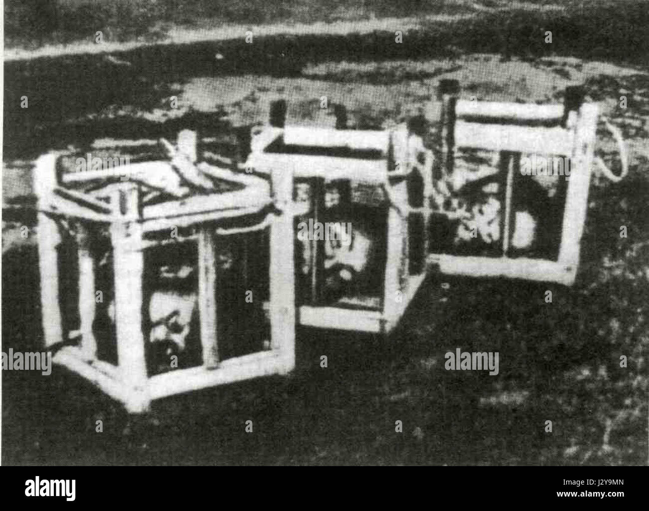 The 'Boxer heads' refers to a series of sculptures depicting the ...