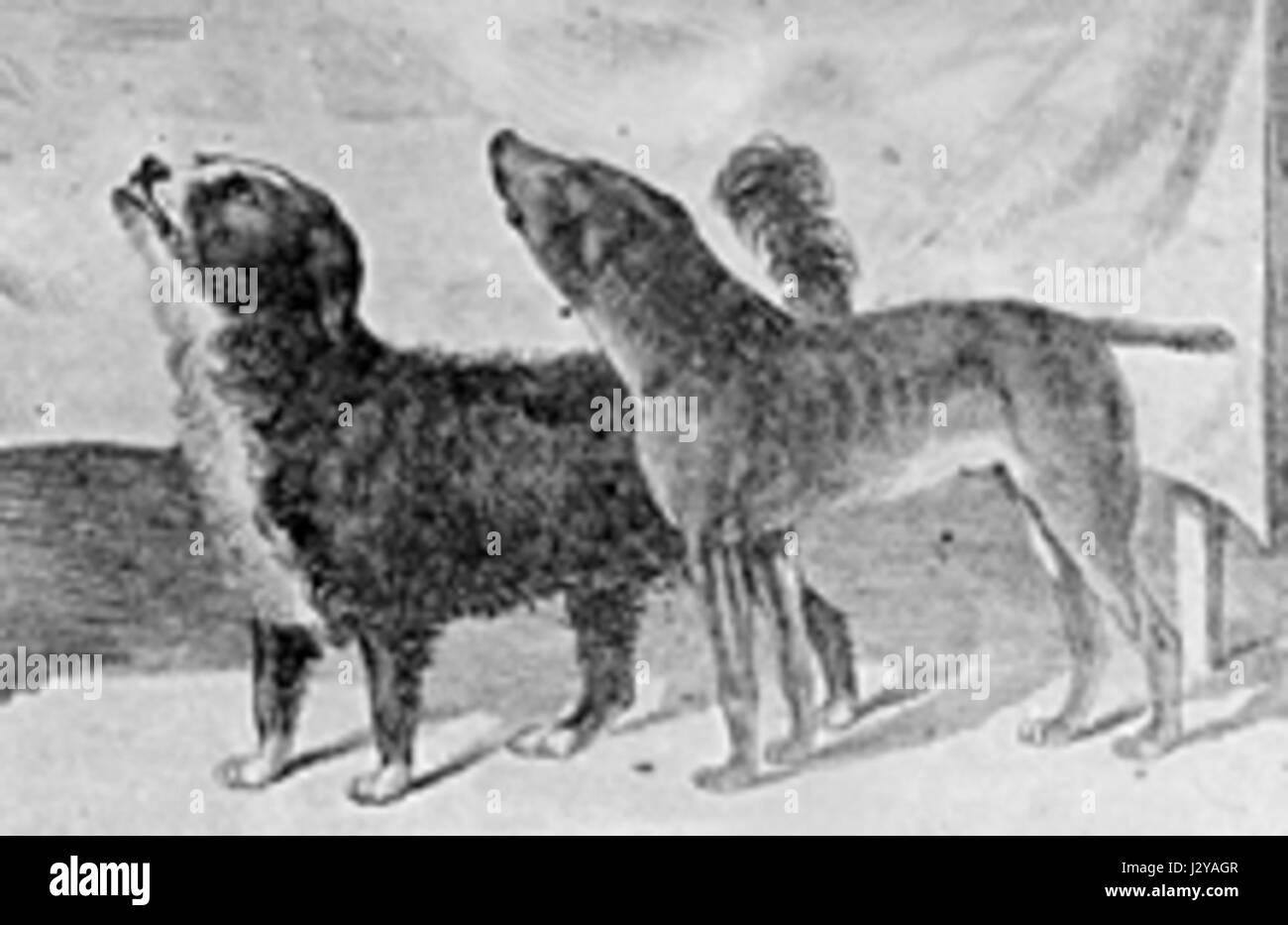 Lazarus hi-res stock photography and images - Alamy