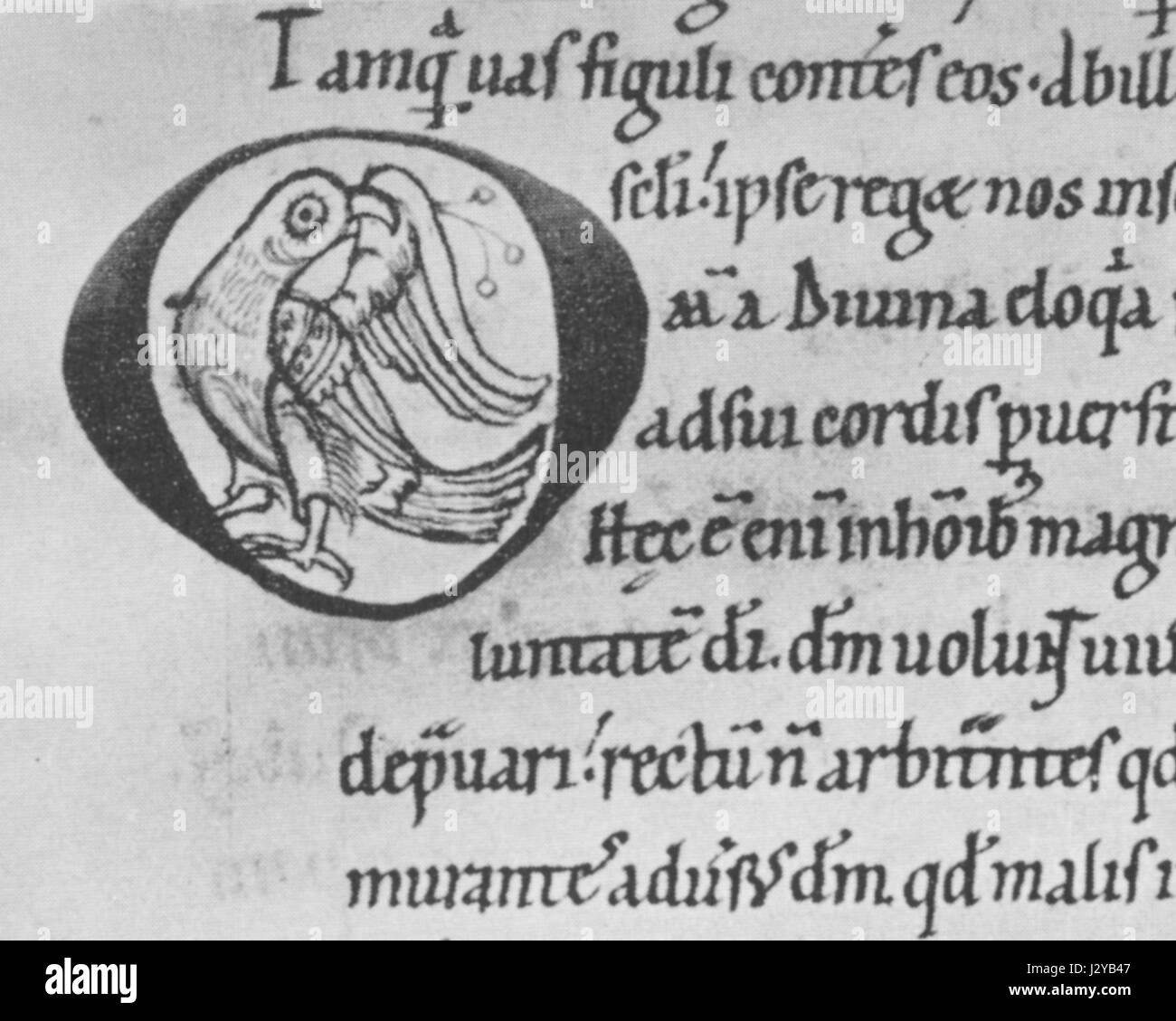 Early medieval illustration hi-res stock photography and images - Alamy