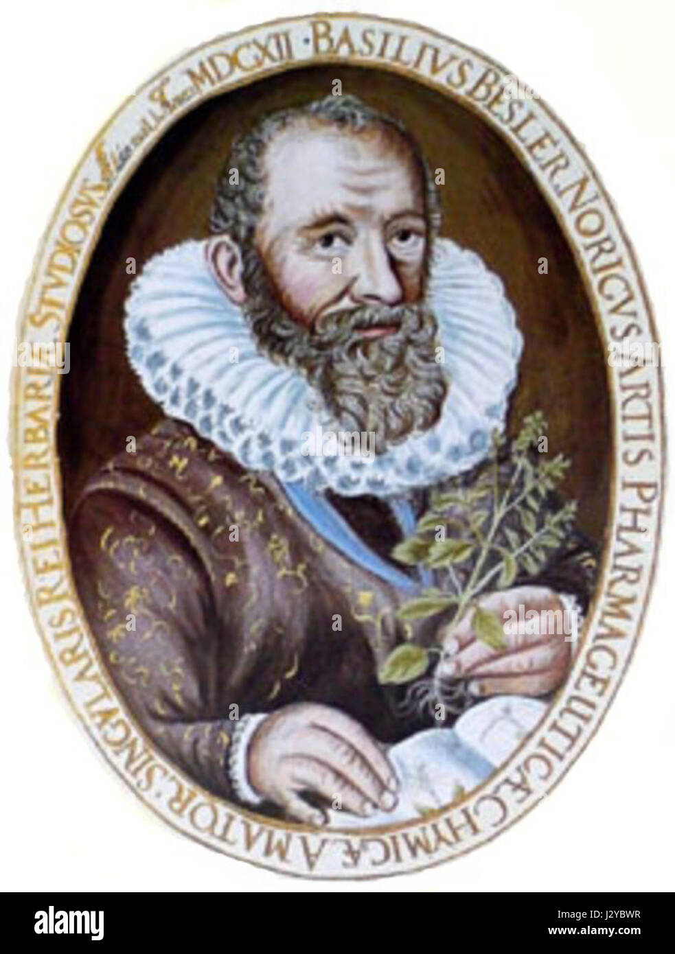 Basilius Besler was a German botanist and artist best known for his ...