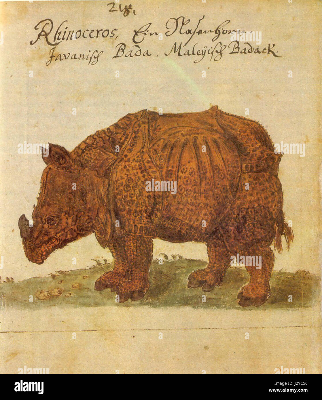 16th century depiction historical hi-res stock photography and images ...
