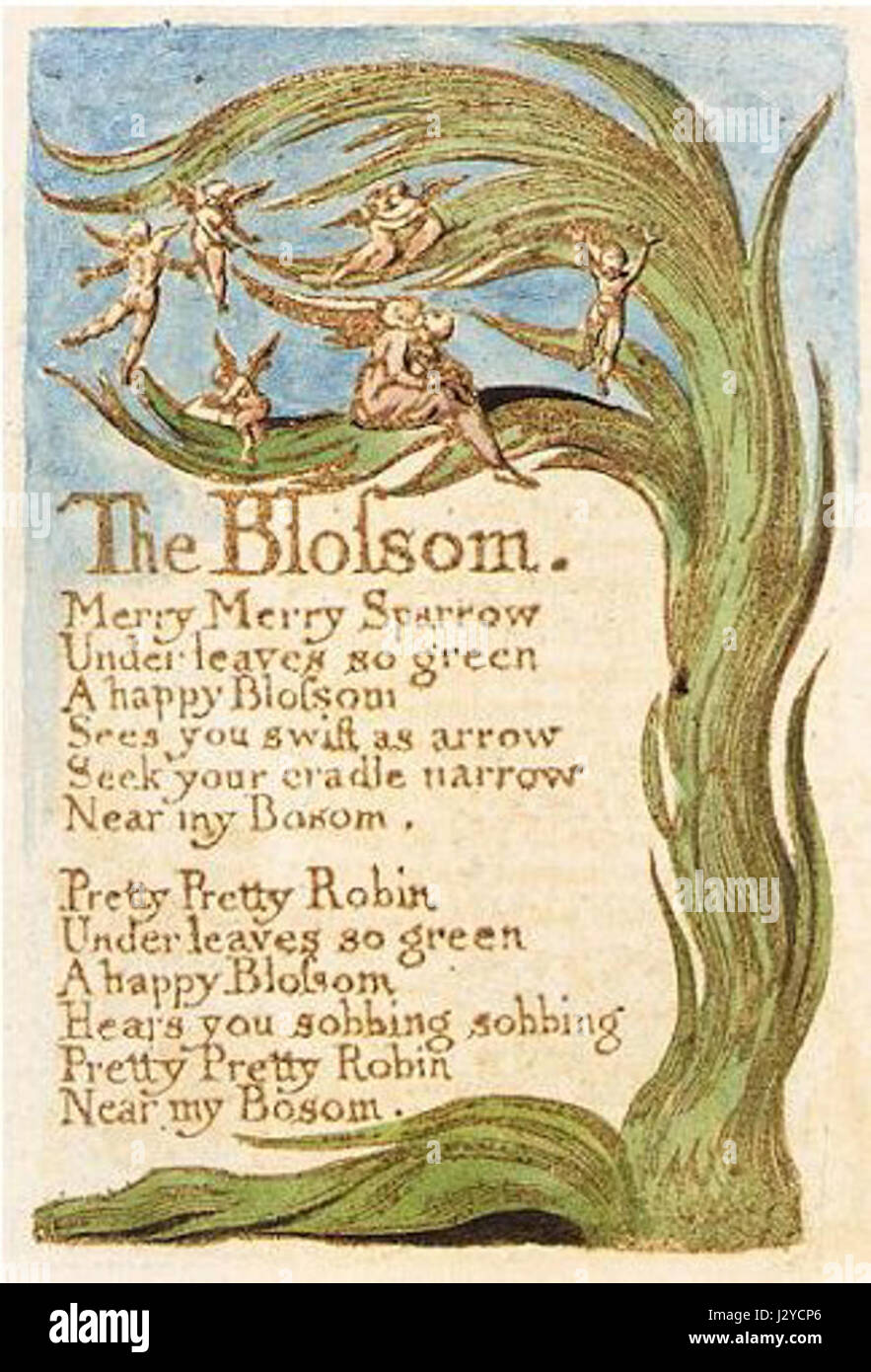 Blake blossom hi-res stock photography and images - Alamy