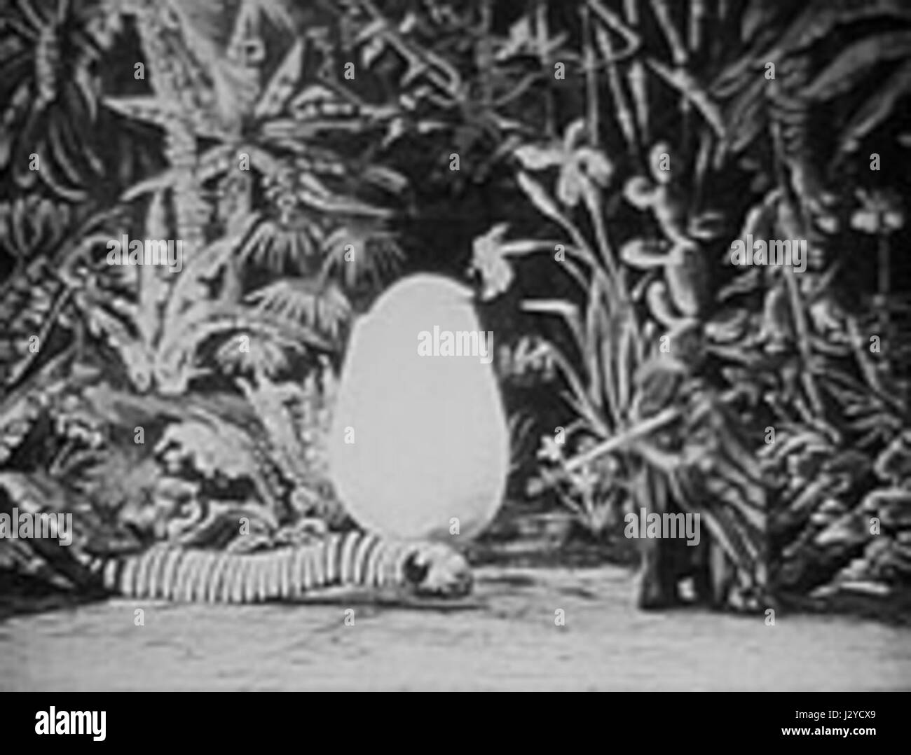 Caste system hi-res stock photography and images - Alamy